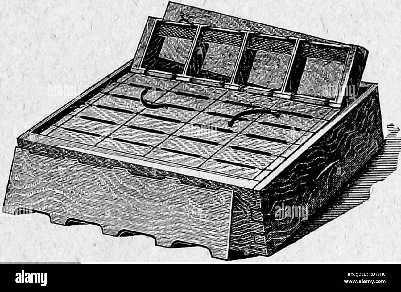 . Beekeeping for Connecticut. Bees; Bees; Bees. Figure 8. Shallow ex ...