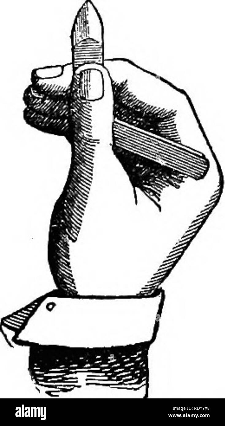 Right lancet hi-res stock photography and images - Alamy