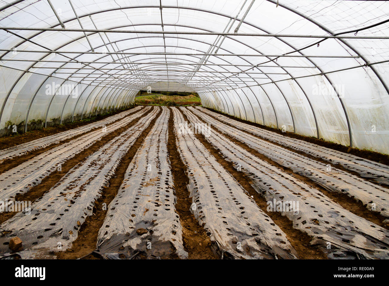 Invernaderos invernaderos invernaderos invernaderos hi-res stock ...