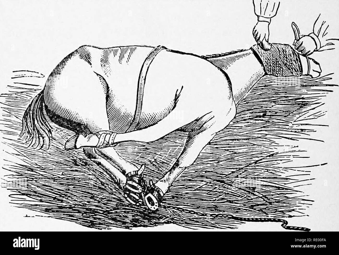 Kneeling on bed Black and White Stock Photos & Images - Alamy