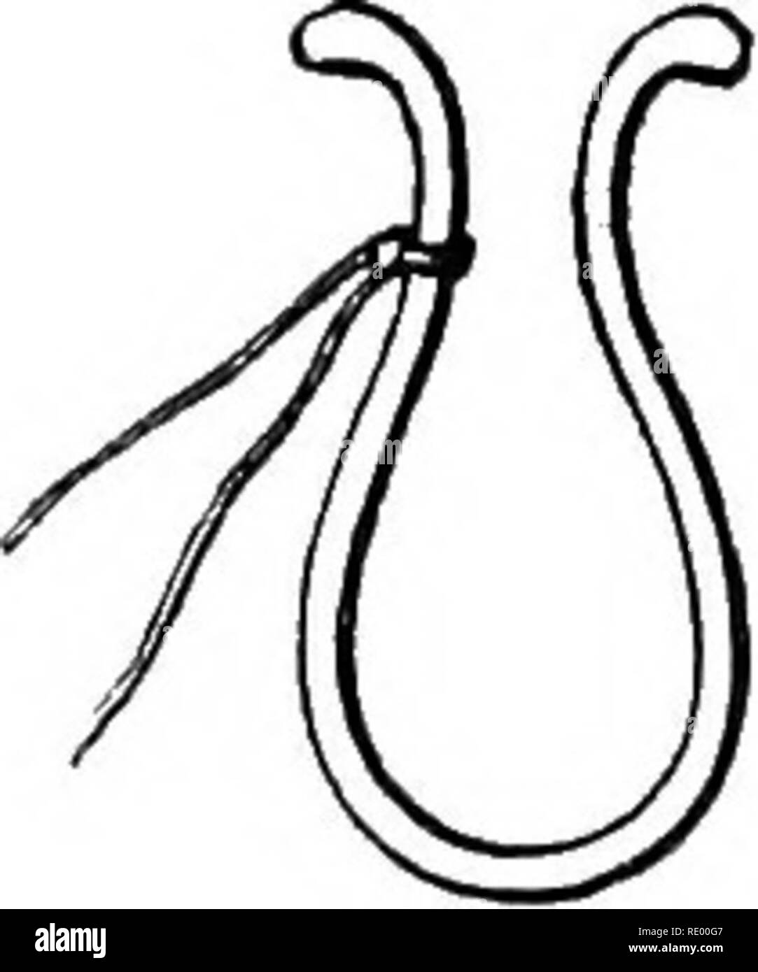 String Of Padlocks High Resolution Stock Photography and Images - Alamy