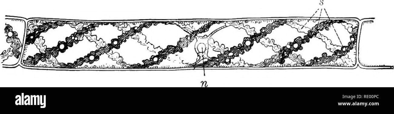 . Essentials of biology presented in problems. Biology. A, jar of water ...
