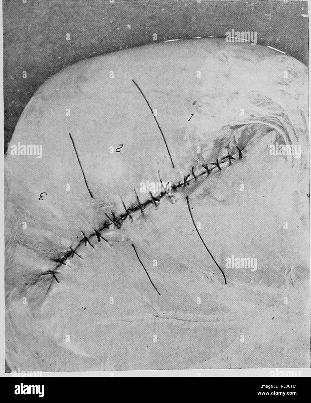 James frost Black and White Stock Photos & Images - Alamy