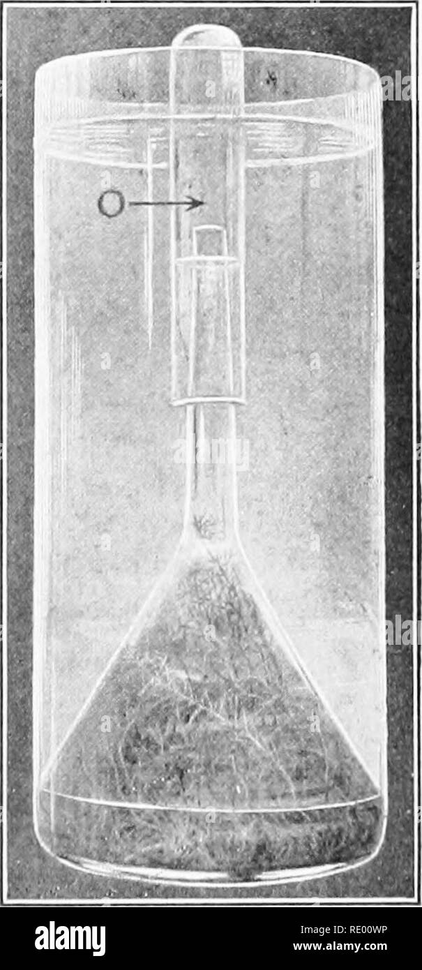 Burned potash Black and White Stock Photos & Images - Alamy