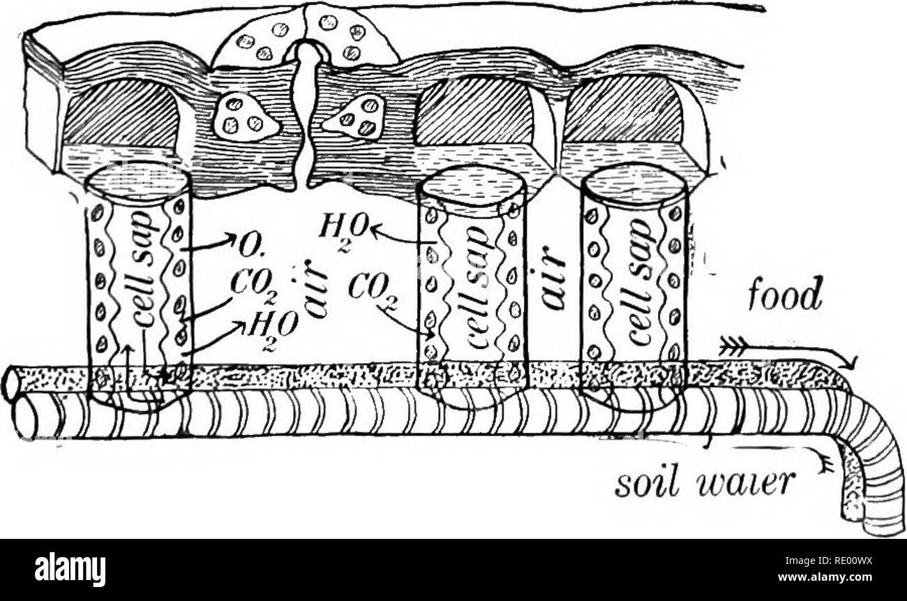 Breathing problems Black and White Stock Photos & Images - Alamy