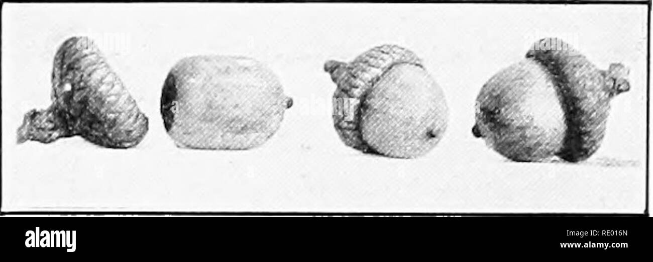 Nate george hi-res stock photography and images - Alamy