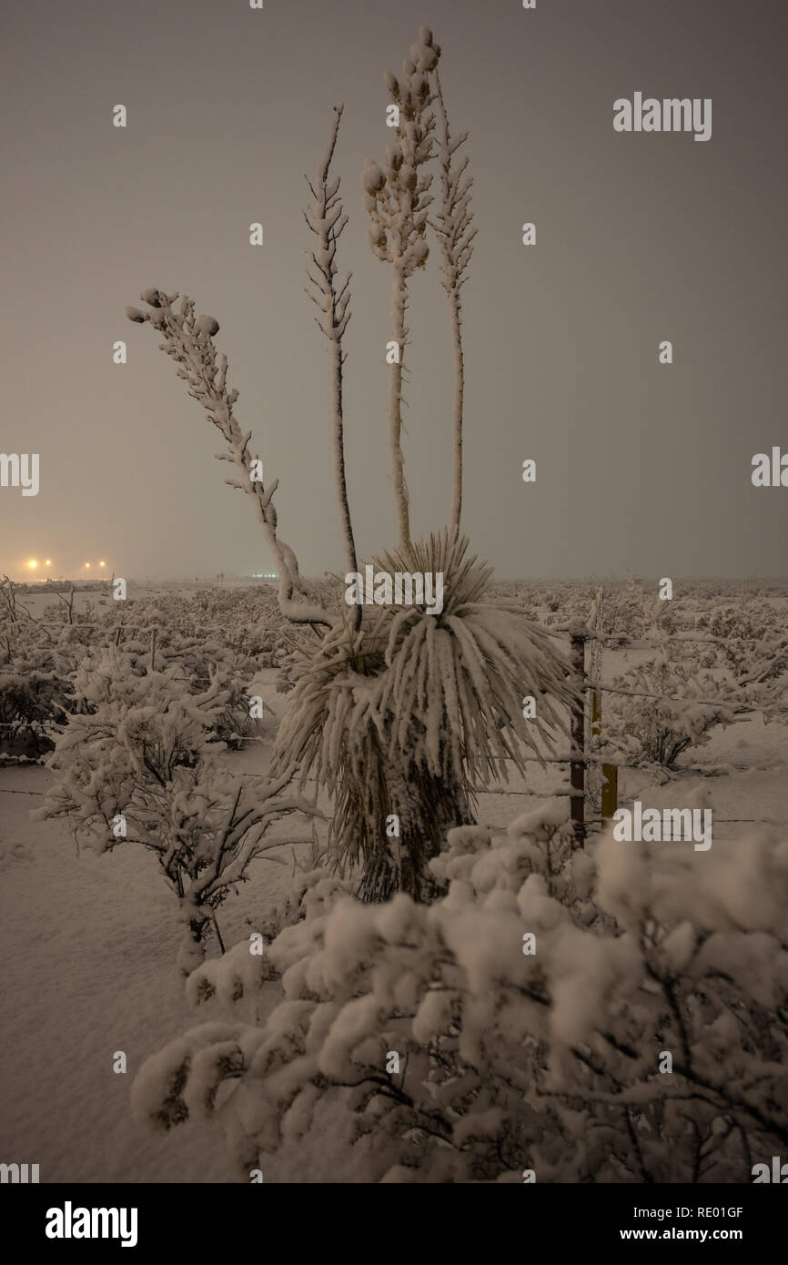 Lordsburg new mexico hi-res stock photography and images - Alamy