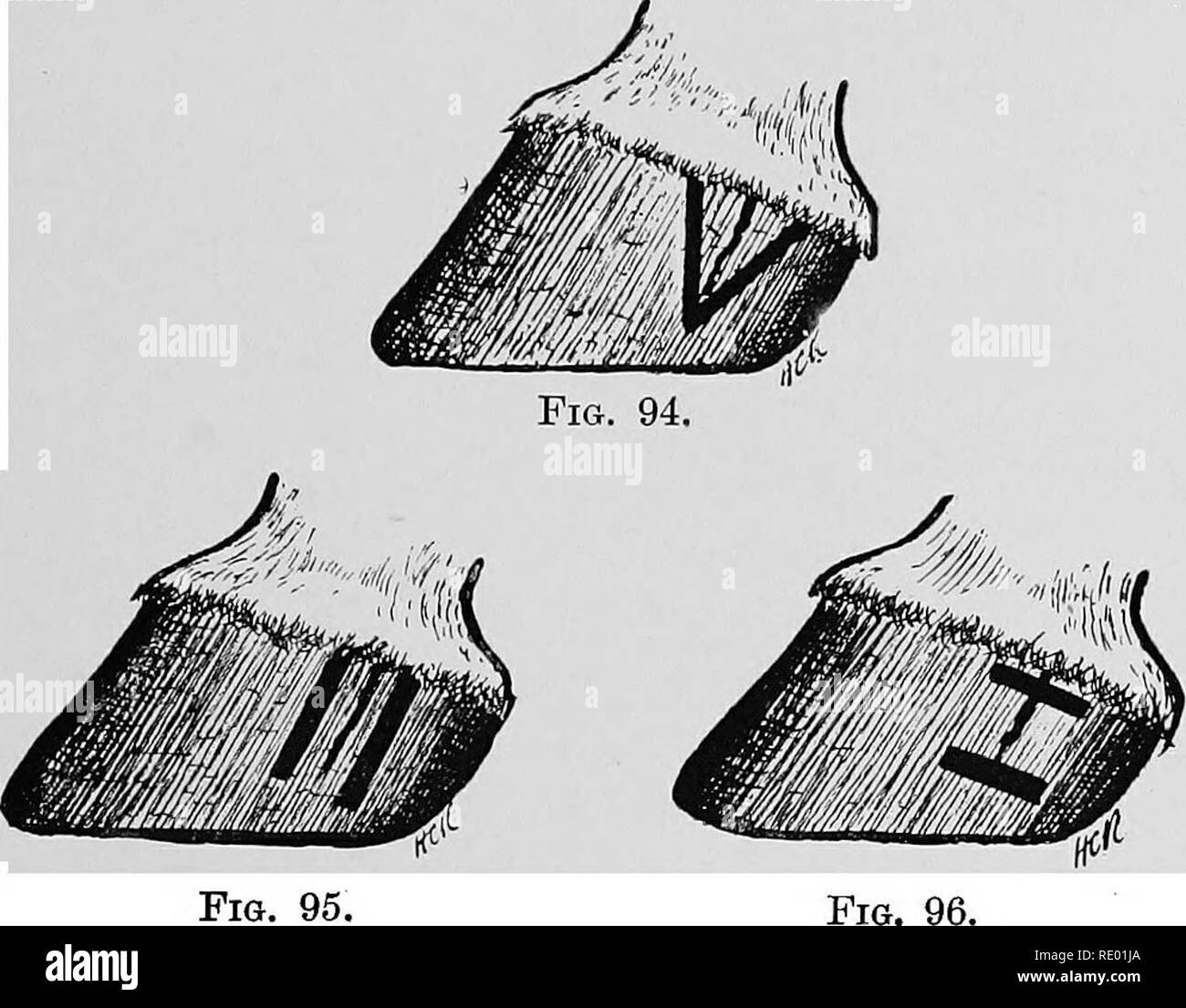 Peom Black and White Stock Photos & Images - Alamy