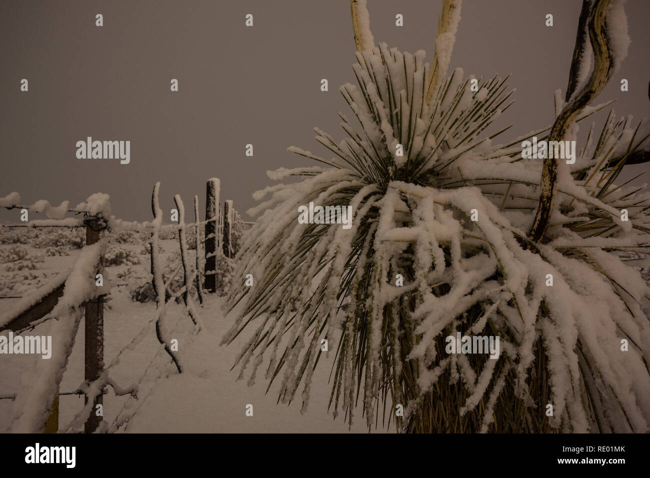 Lordsburg, Hidalgo County, New Mexico, USA Stock Photo - Alamy