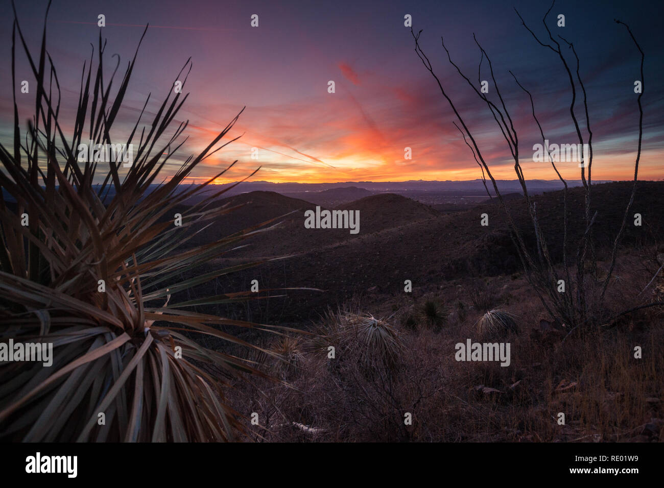Achenbach usa hi-res stock photography and images - Alamy