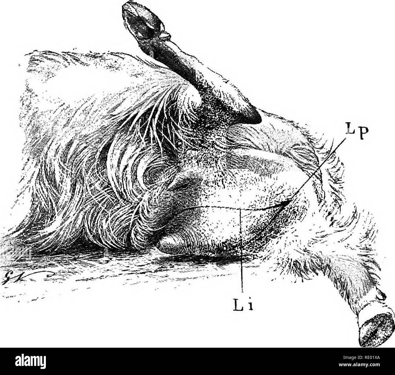 Grave 329 hi-res stock photography and images - Alamy