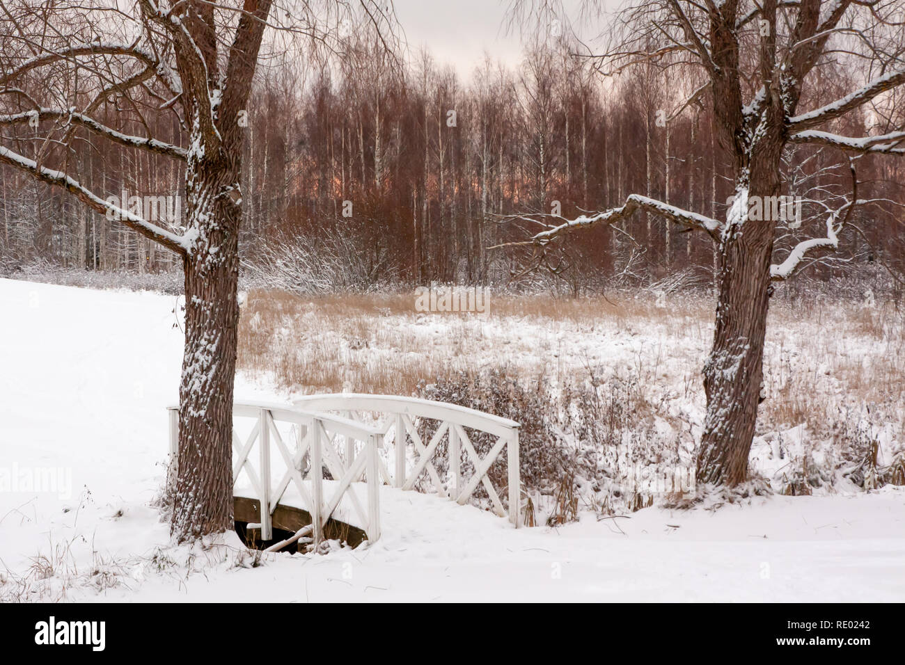 Beautiful winter snow landscape in Finland Stock Photo - Alamy