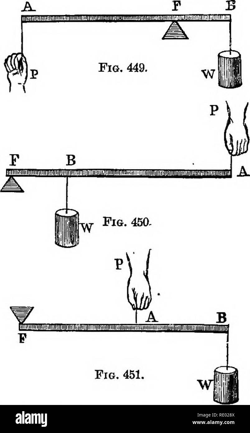 Locomotor apparatus Cut Out Stock Images & Pictures - Alamy