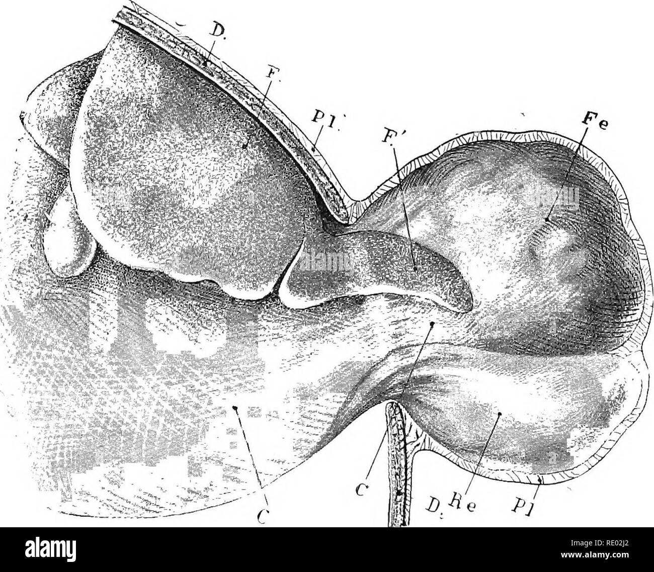 Gastro enteritis hi-res stock photography and images - Alamy