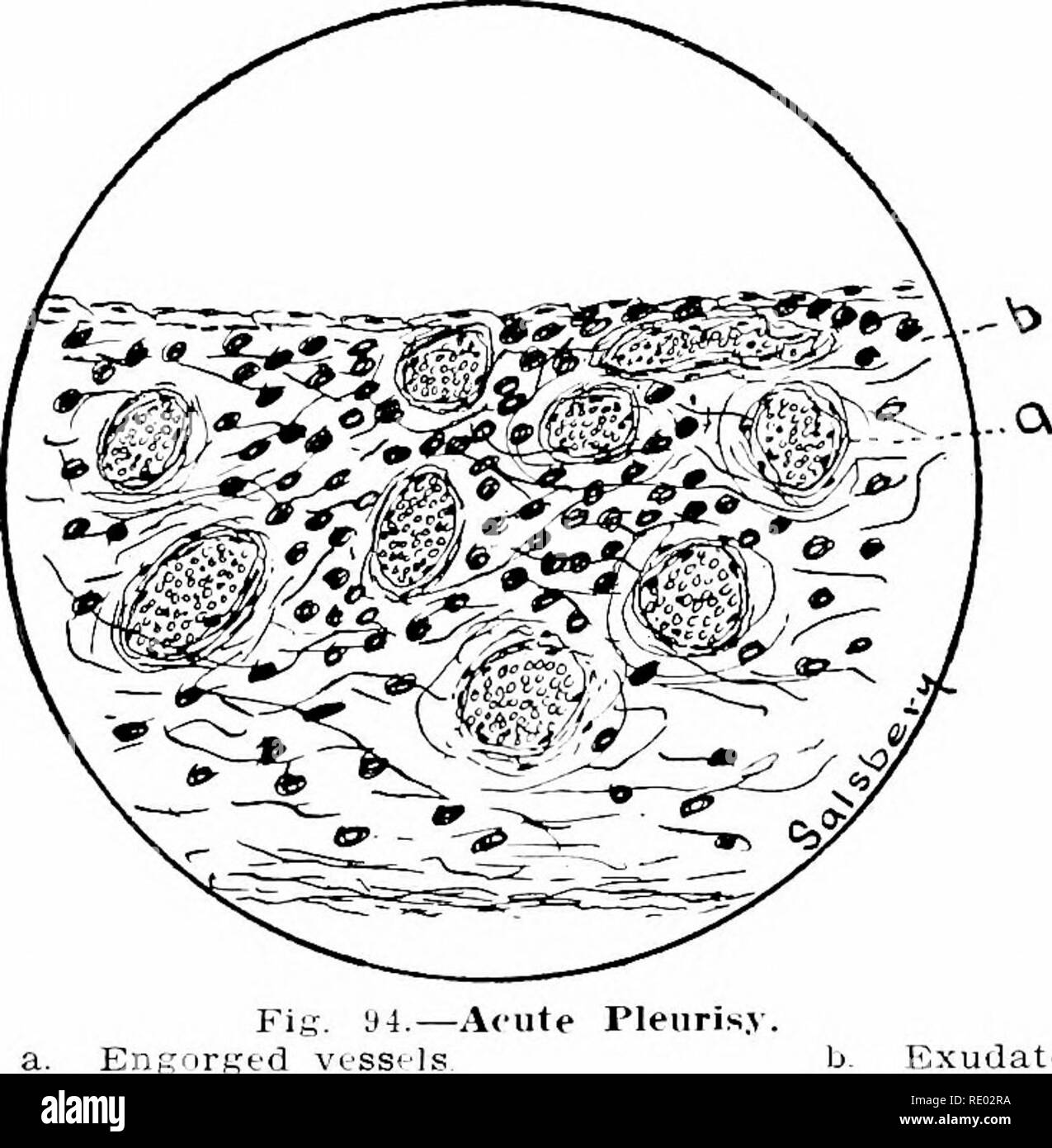 Udate hi-res stock photography and images - Alamy
