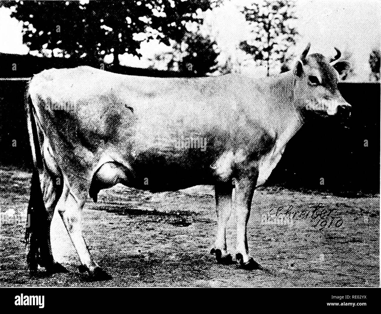 . Nature study and agriculture. Nature study; Agriculture. 348 DOMESTIC ...