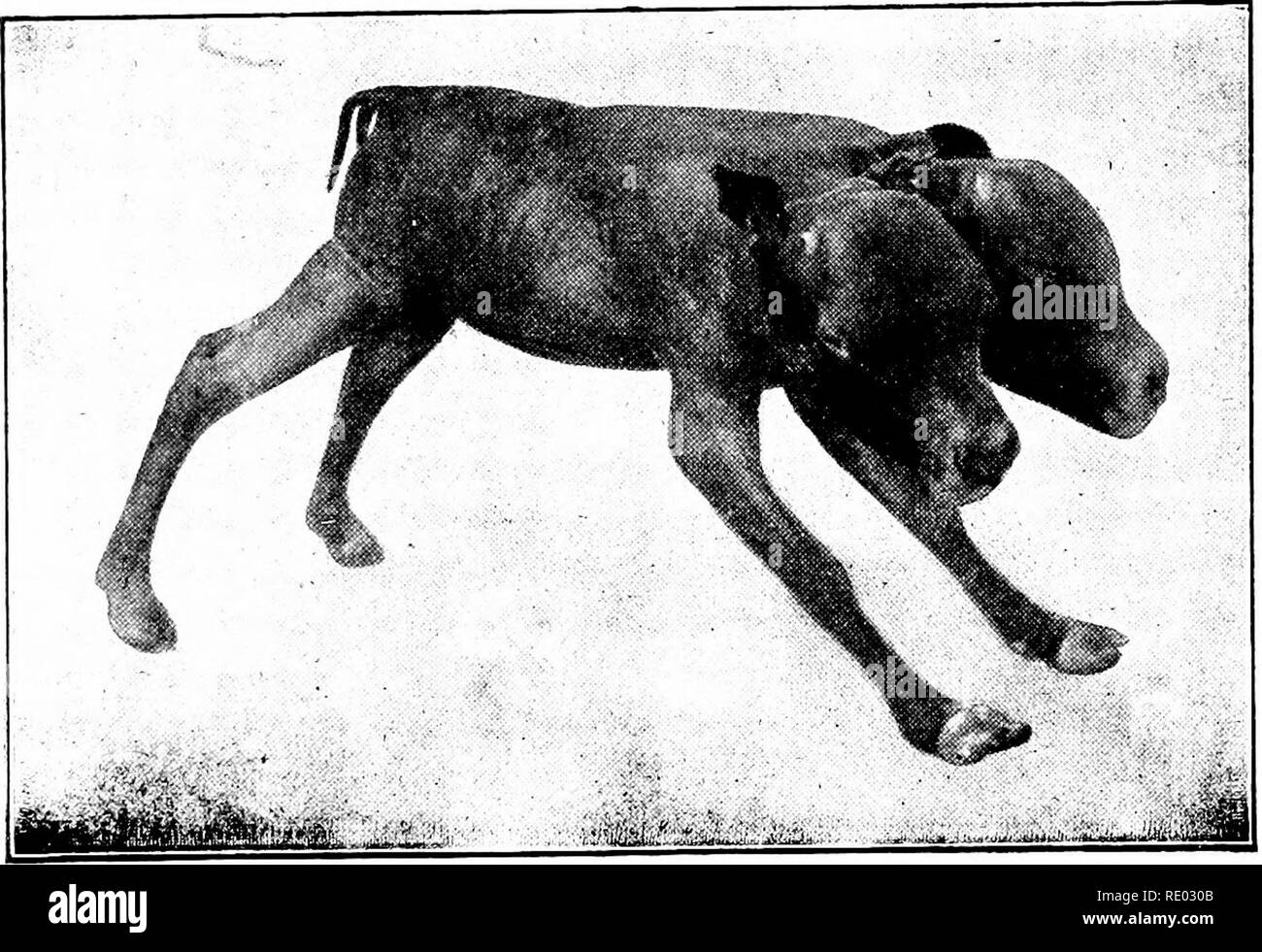 Vetf hi-res stock photography and images - Alamy