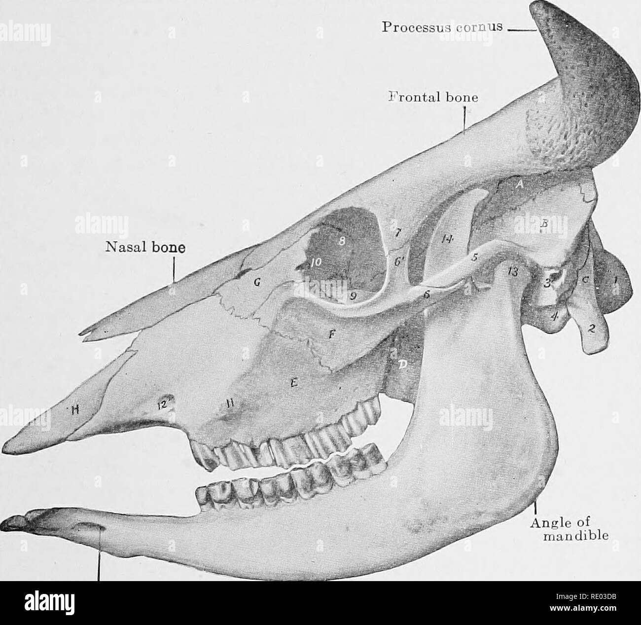. Principles of veterinary science; a text-book for use in agricultural ...
