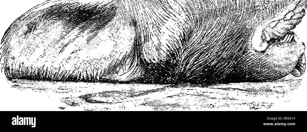 Variable stiffness hi-res stock photography and images - Alamy