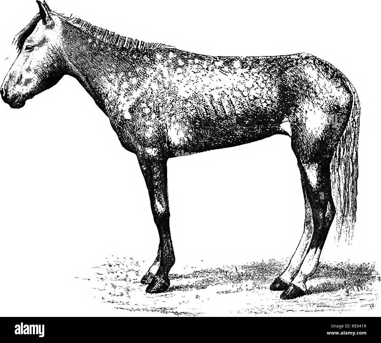 Symptoms of a period Black and White Stock Photos & Images - Alamy