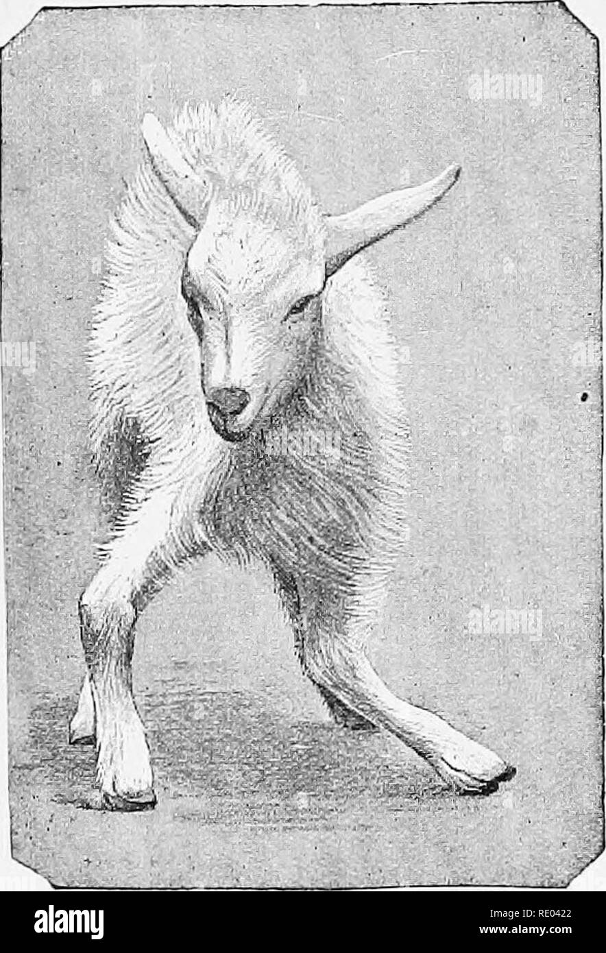 Skoliosis Black and White Stock Photos & Images - Alamy