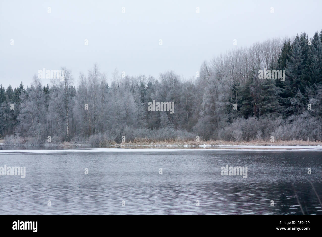Beautiful river kymijoki in hi-res stock photography and images - Alamy