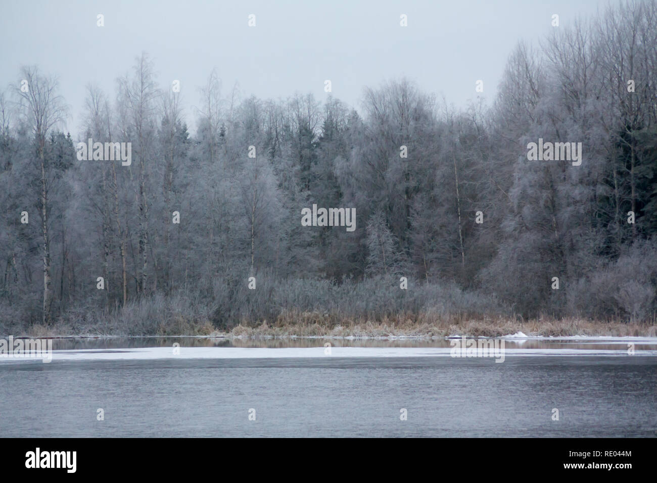 Beautiful river kymijoki in hi-res stock photography and images - Alamy