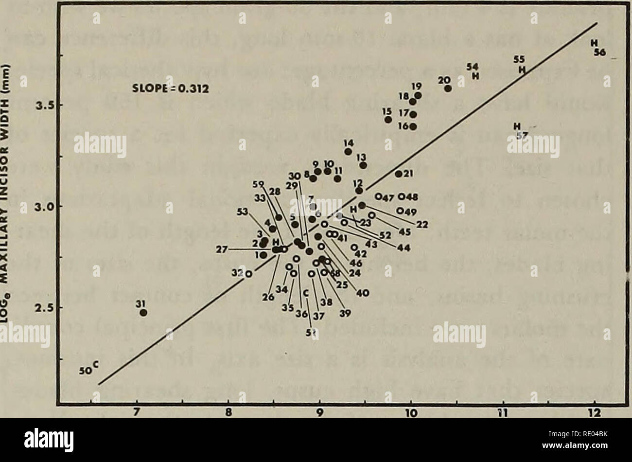 Macaca hecki hi-res stock photography and images - Alamy