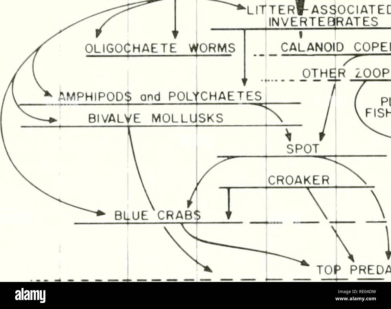 Microbial succession hi-res stock photography and images - Alamy
