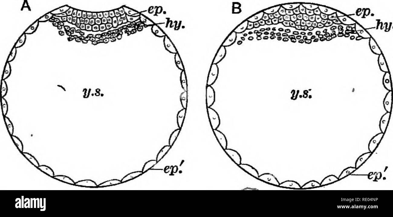 . A text-book of comparative physiology for students and practitioners ...