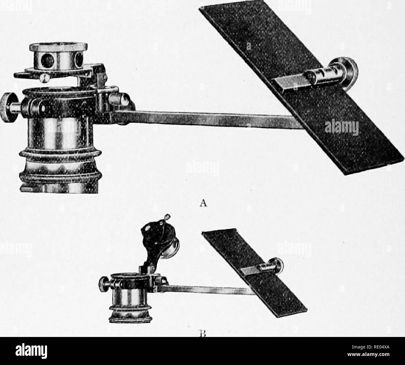 Histology drawing Black and White Stock Photos & Images - Alamy