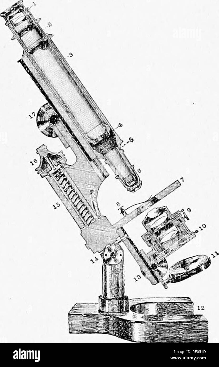 Robert brown microscope Cut Out Stock Images & Pictures - Alamy