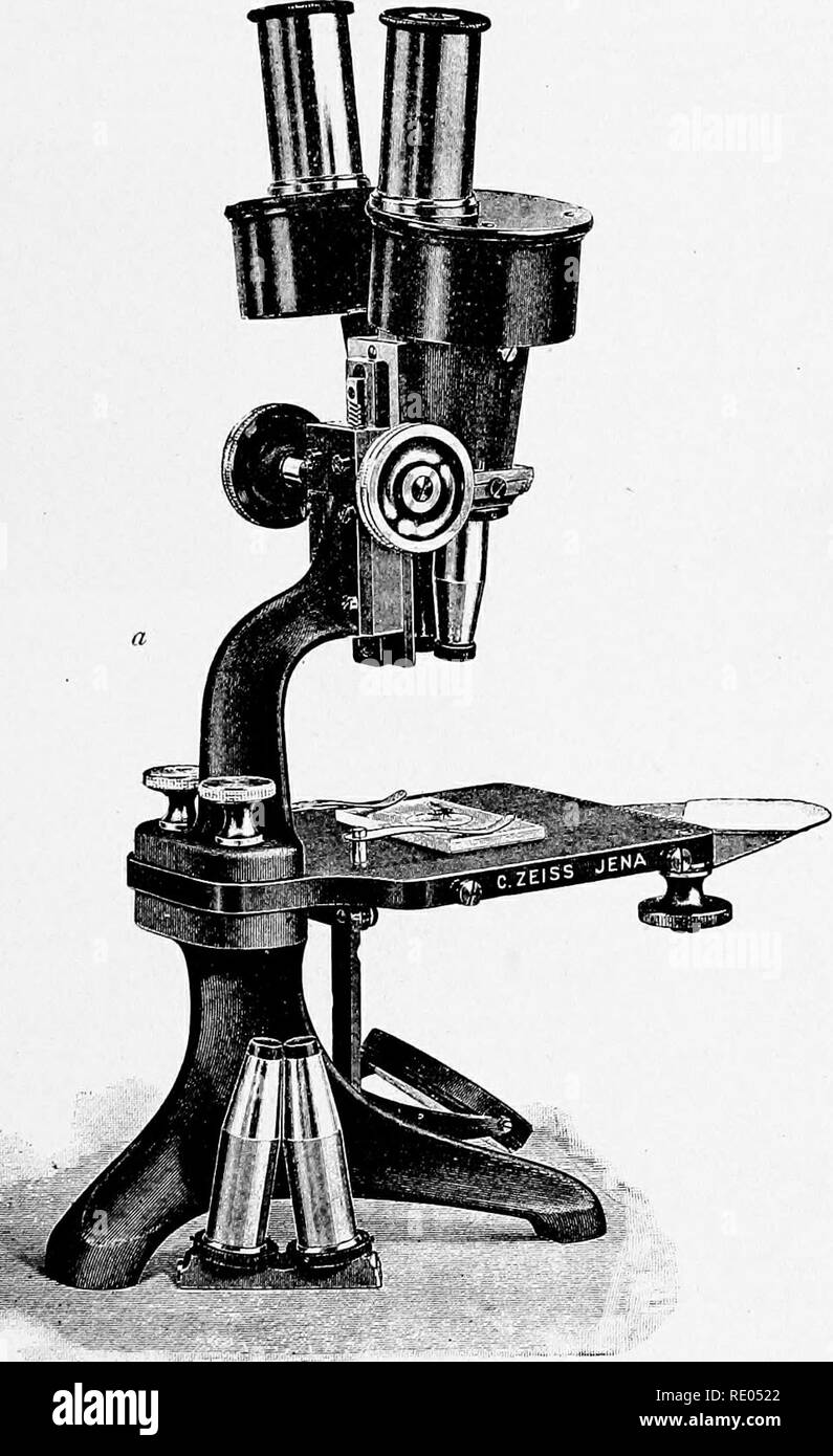Binocular Microscope Diagram