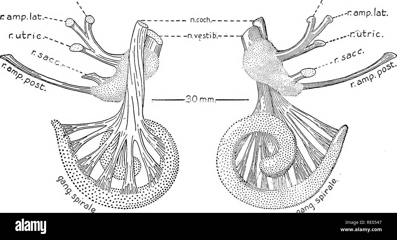 William streeter Cut Out Stock Images & Pictures - Alamy