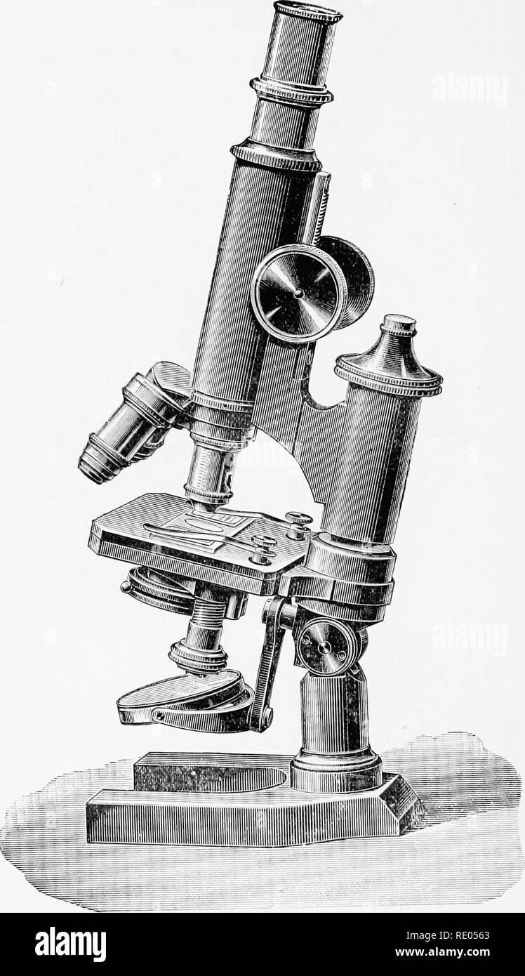 Histology images hi-res stock photography and images - Alamy