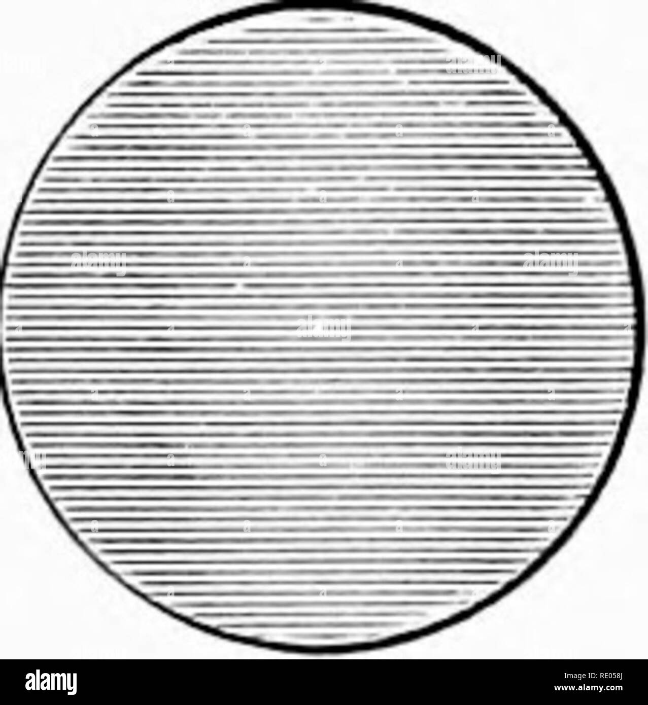 Microscope glass slides in histology Black and White Stock Photos ...