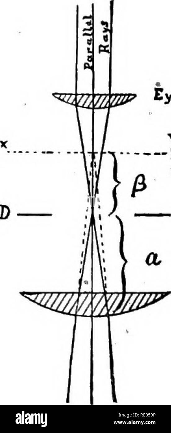 . The microscope : an introduction to microscopic methods and to ...