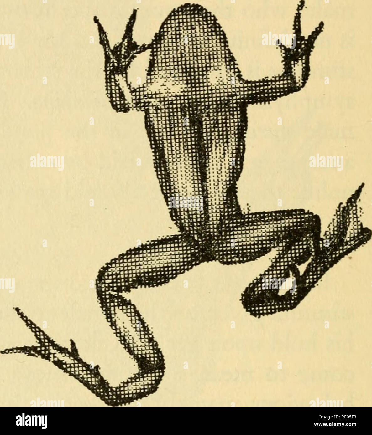 . The ecology and life history of the common frog (Rana temporaria ...