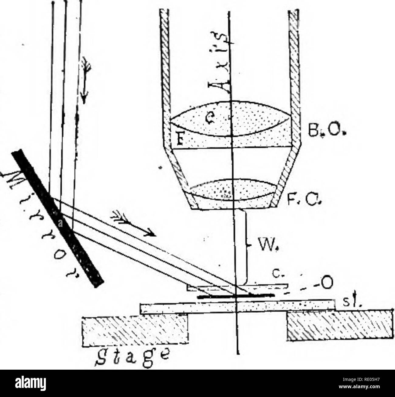 . The microscope : an introduction to microscopic methods and to ...