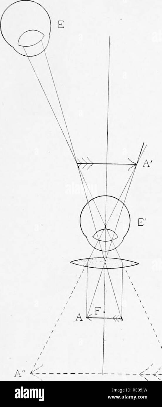 . The microscope : an introduction to microscopic methods and to ...