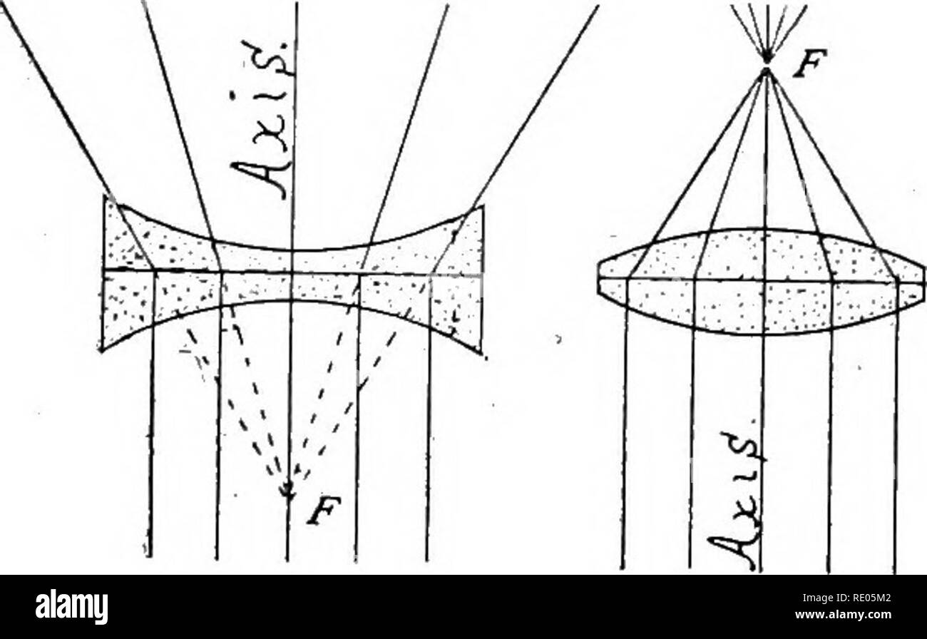 . The microscope : an introduction to microscopic methods and to ...