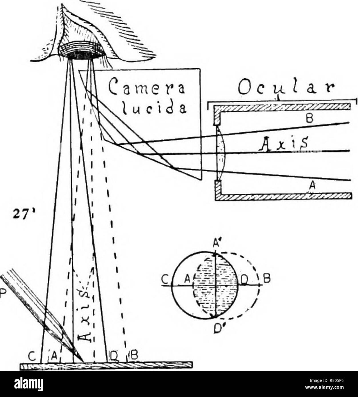 Ocular Micrometer High Resolution Stock Photography and Images - Alamy