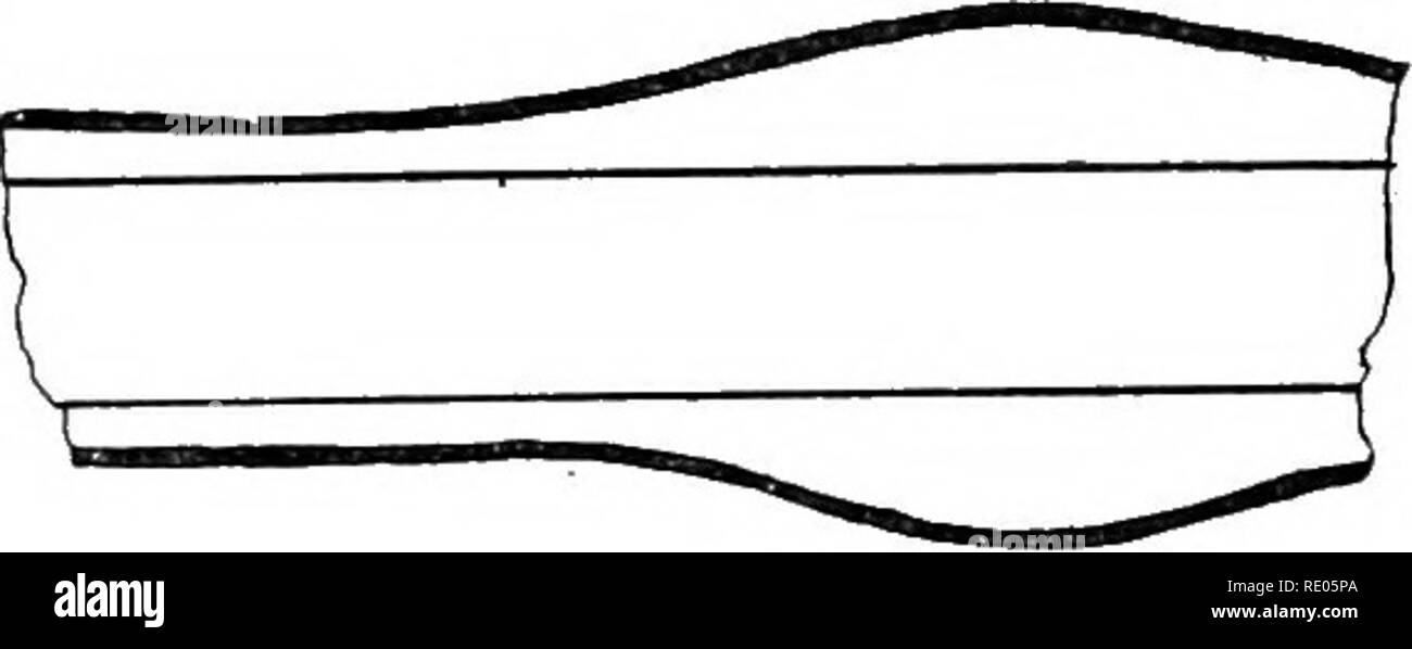 Microscopic levels hi-res stock photography and images - Alamy