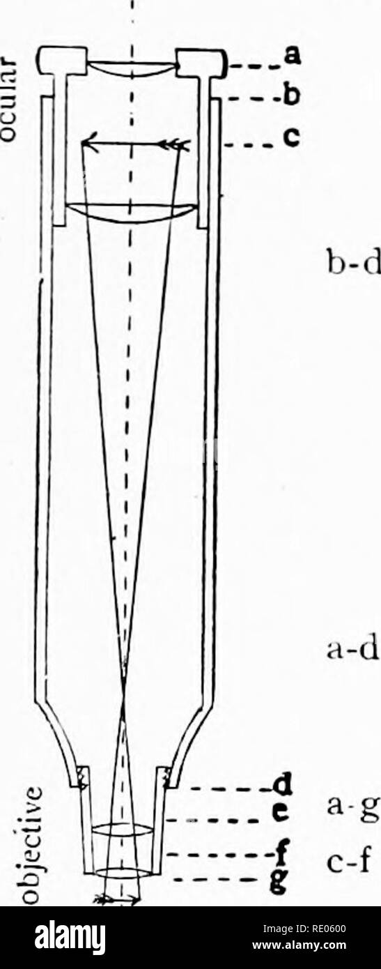 . The microscope; an introduction to microscopic methods and to ...