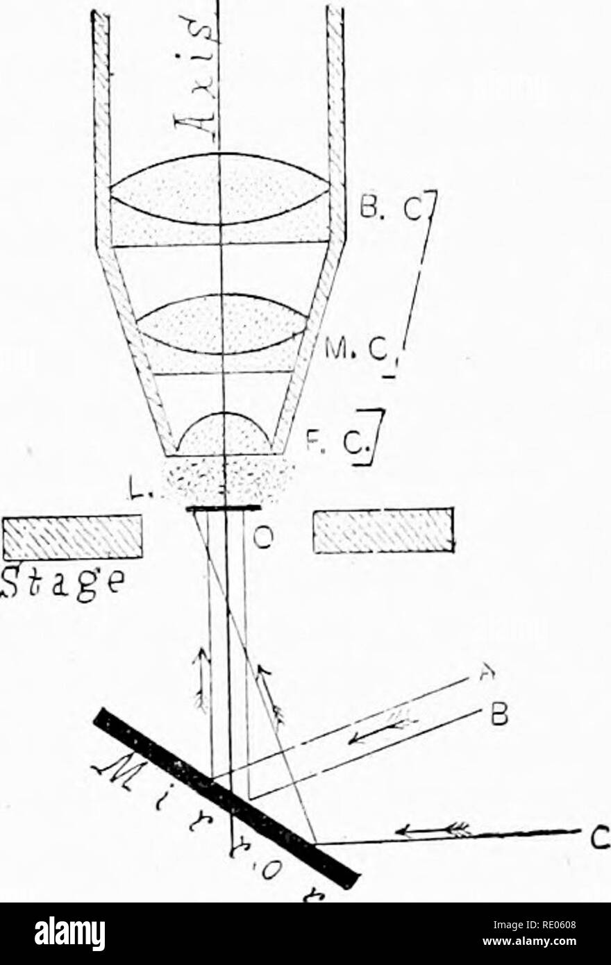 . The microscope; an introduction to microscopic methods and to ...
