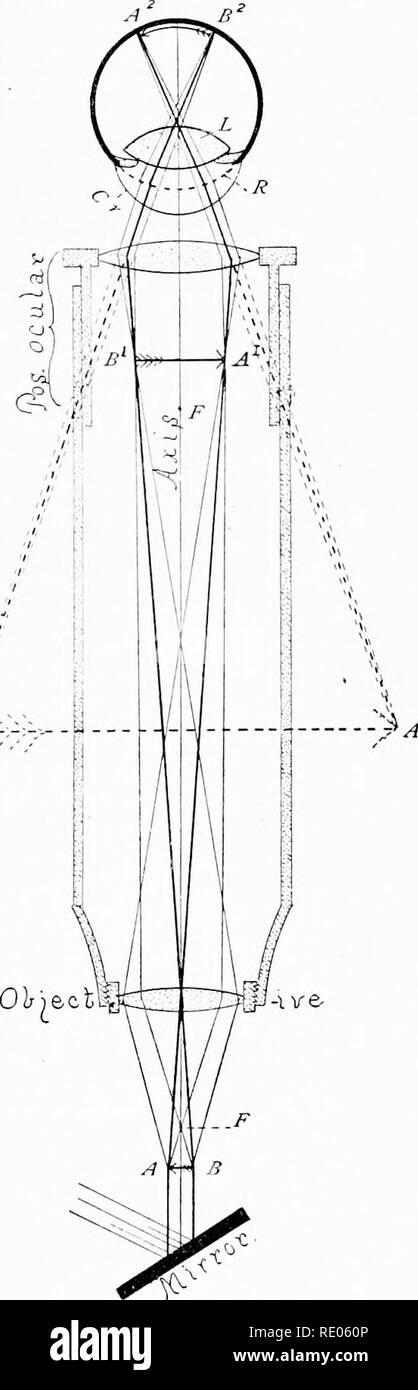 Inverted optical microscope Black and White Stock Photos & Images - Alamy