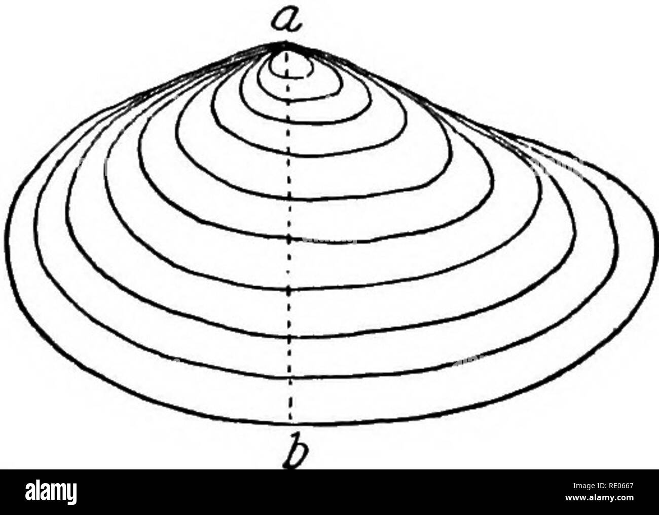 Calcified skin hi-res stock photography and images - Alamy