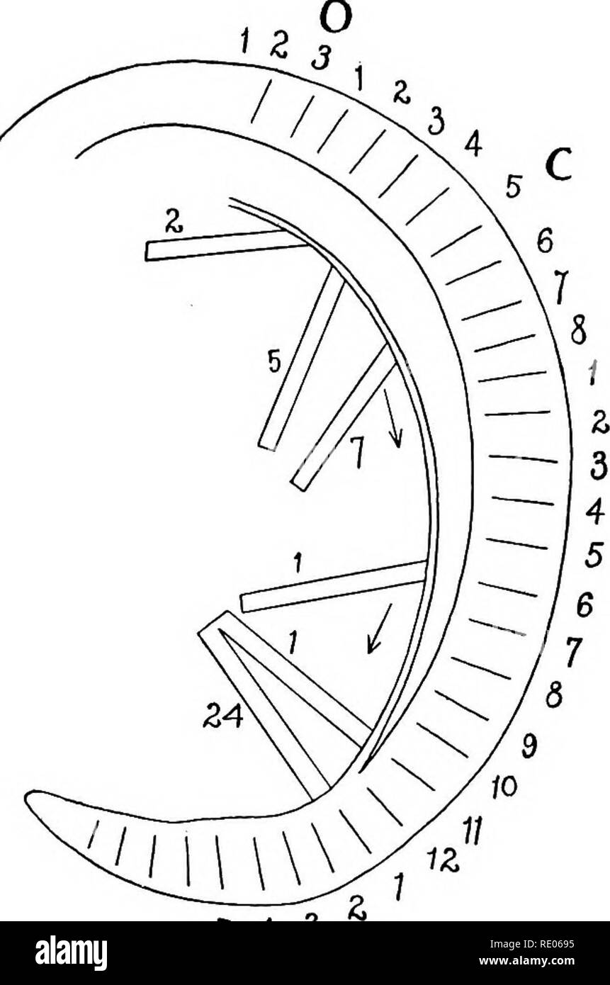 . A laboratory manual and text-book of embryology. Embryology. BODY ...