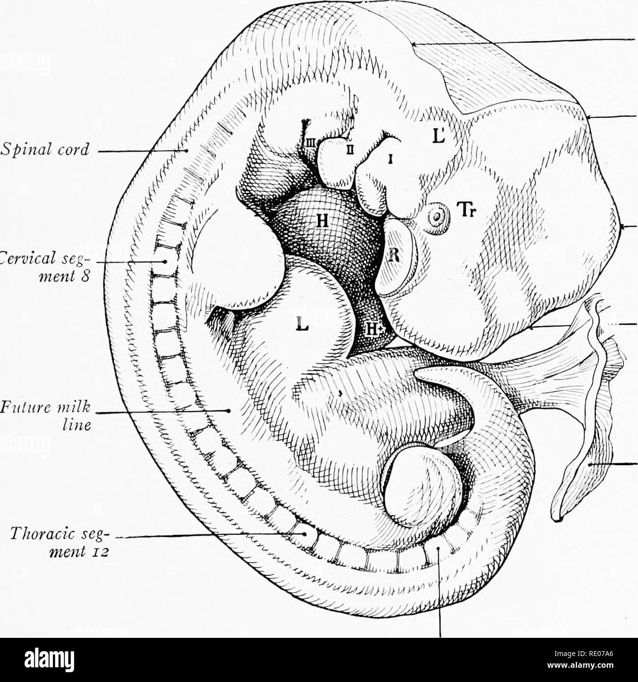 Yf 12 hi-res stock photography and images - Alamy