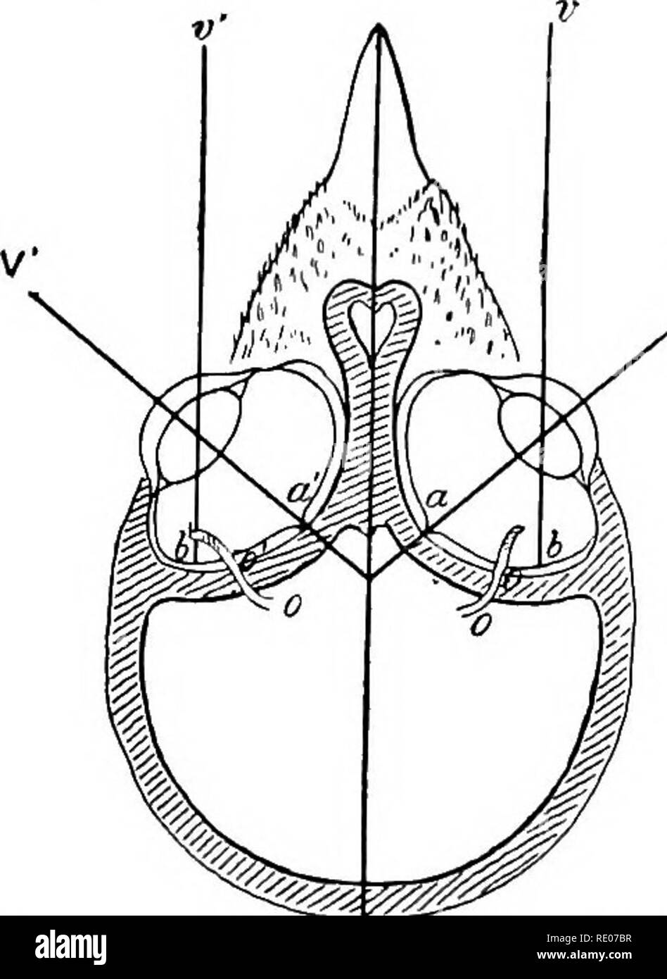 From a central axis point Black and White Stock Photos & Images - Alamy